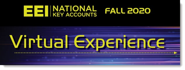 The EEI National Key Accounts Workshop Goes Virtual for 2020